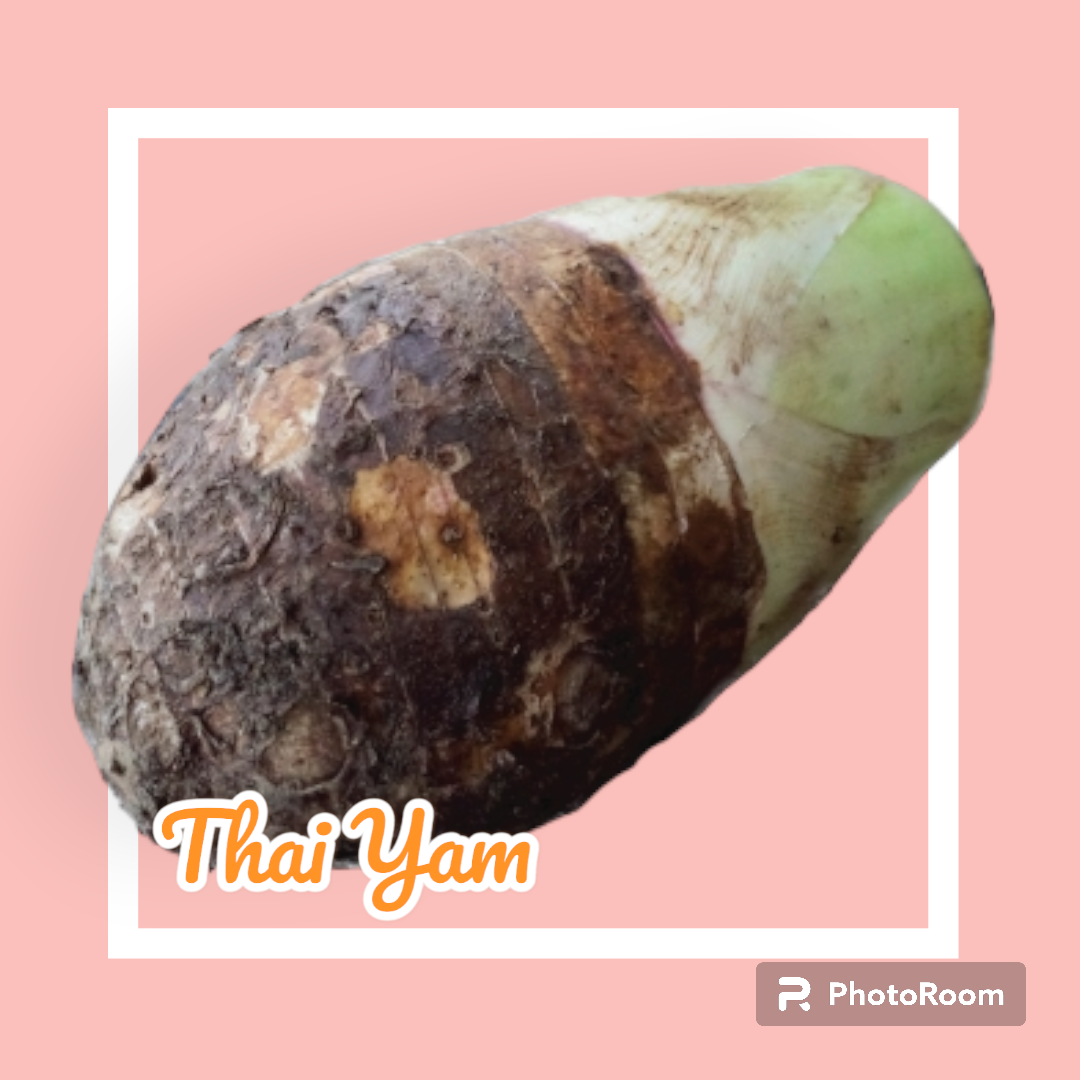 Thai Yam - Dews wholesale