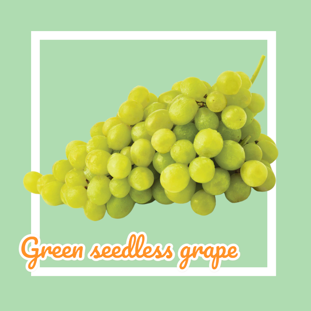 Green Seedless Grape - Dews wholesale